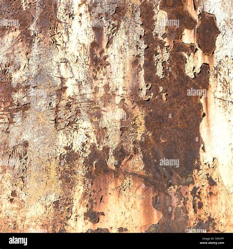 Rusty Texture High Resolution Stock Photography And Images Alamy