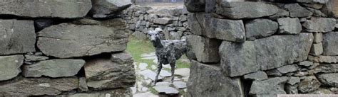 Top Facts And Things To Do In Beddgelert Snowdonia