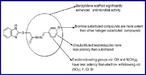 Binding Interaction Of Compound 11 In Green Colour At The Binding Site Download Scientific