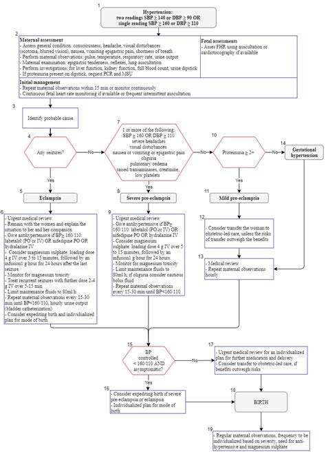 Who Intrapartum Care Hypertension Algorithm Download Scientific Diagram