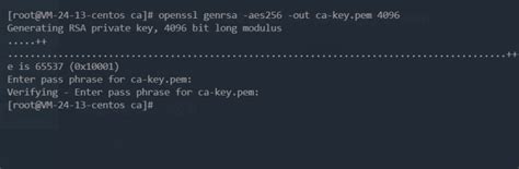 Linux开启docker远程访问并设置安全访问证书密钥，附一份小白一键设置脚本哦！ 腾讯云开发者社区 腾讯云