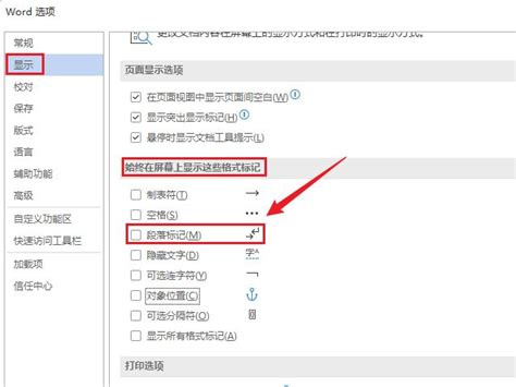 Word取消回车换行符和红色波浪线的显示 Word如何不显示回车换行符 正数办公