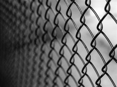 خرید و قیمت توری فلزی ضد زنگ آراد برندینگ