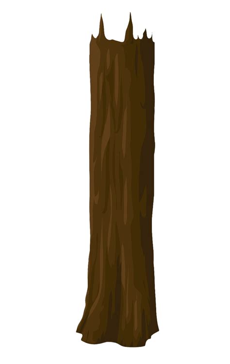 Tree Trunk PNG Images Transparent Free Download