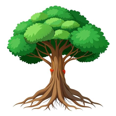 Реалистичная деревянная векторная иллюстрация изолирована на белом экране Премиум векторы