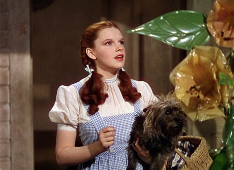 Judy Garlands Missing Wizard Of Oz Dress Found At Last After 40 Years