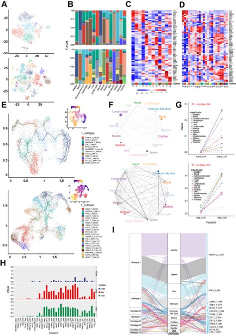 A Single Cell Transcriptome Atlas Of 15 Adult Human Organs Atc Abstracts