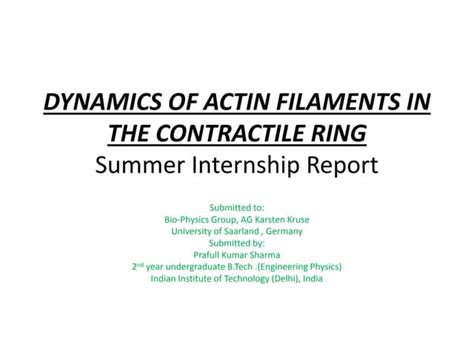 Dynamics Of Actin Filaments In The Contractile Ring Pdf