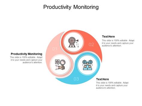 Productivity Monitoring Ppt Powerpoint Presentation Professional Format Cpb