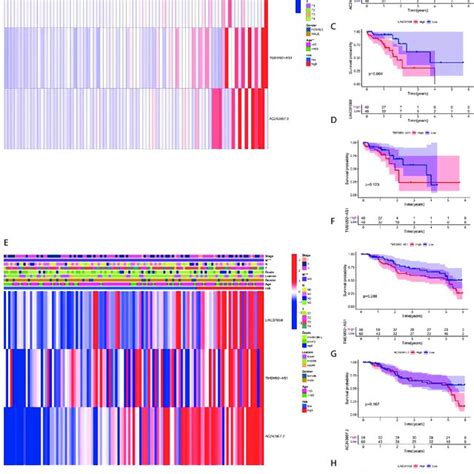 Survival Analysis And Clinical Correlation Analysis Of Firls In Risk