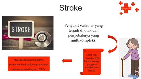 Patofisiologi Dislipidemia Sebagai Faktor Risiko Stroke Youtube
