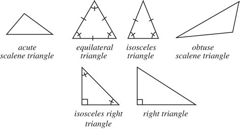 triangles and their angles 7th grade quiz quizizz