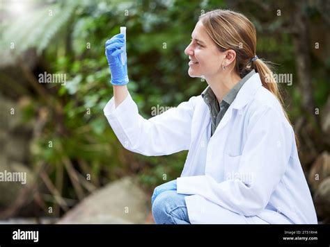 Forest Sample And Woman Scientist Test Water For Research Or Inspection Of The Ecosystem And