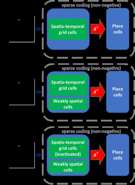 Model Structure In Three Scenarios Mec Spatio Temporal Grid Cells Or