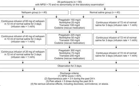 A Schedule For The Continuous Infusion Of Nefopam With A Consecutive