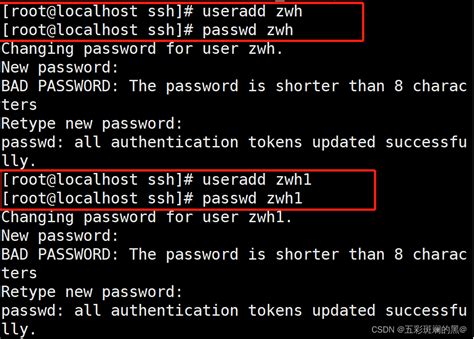 第四章 远程访问及控制 Csdn博客