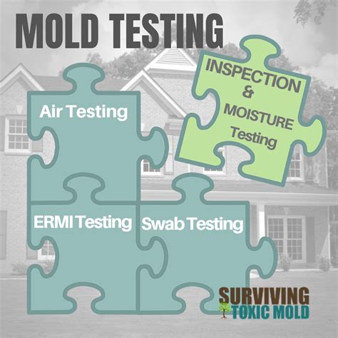 Surviving Toxic Mold Mold Exposure Mold Illness Mold Testing