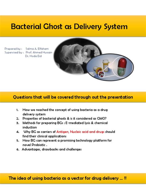 Bacterial Ghost As Delivery System Pdf Toll Like Receptor Bacteria