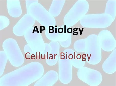 PPT AP Biology PowerPoint Presentation Free Download ID 2134012