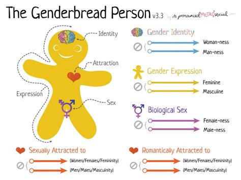 The Genderbread Person Its Pronounced Metrosexual