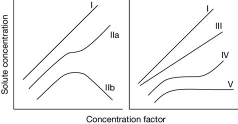 schematic logarithmic plot of solute concentration versus the degree of