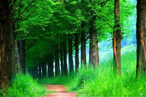 아름다운 여름 풍경 섹스 사랑 가족 가족 육아에 대한 지식
