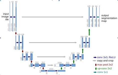 u net model architecture download scientific diagram