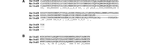 Sequence Comparison Among Dnae Inteins A Sequence Alignment Of The