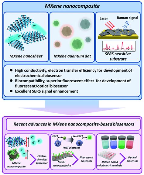 Recent Advances In The Development Of Advanced Biosensors Based On Download Scientific Diagram