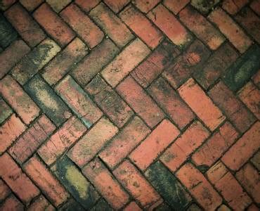 How To Remove Algae From Your Brick Patio