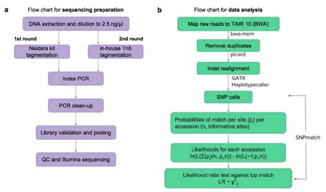 Schematic Of Library Preparation A And Data Analysis B Workflow Download Scientific Diagram
