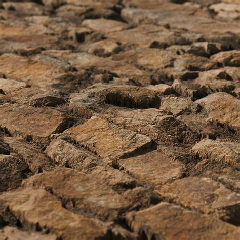 Eevee Next Real Time Displacement Test Render Blender 4 1 Alpha Blender Tests Blender