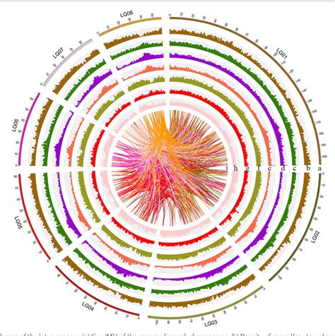 Figure 1 From Genomic Variation Reveals Demographic History And