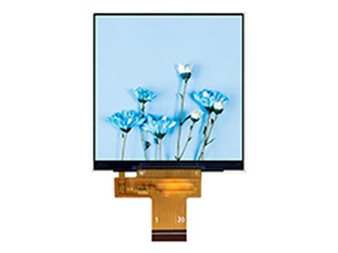 Square Display Inch Square LCD MCU SPI RGB Interface ILI ST S Rondelidisplay