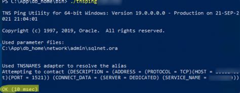 Sql Developer Use Tnsnames Ora File For New Connections Theitbros