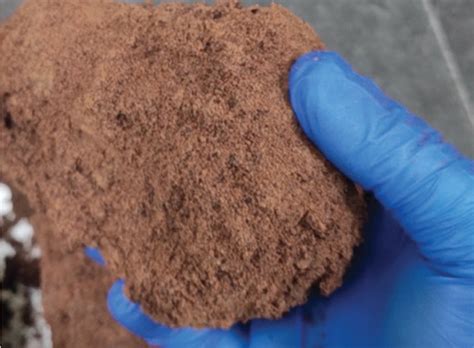 Impact Of Particle Size Control On Bulk Solids Flow Behavior Chemical Engineering Page 1