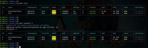 Pm2 Commands List Pm2 Commands Node Linux Taste The Linux