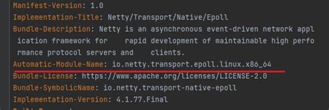 [bug]module not found ty transport epoll · issue 12456 · netty