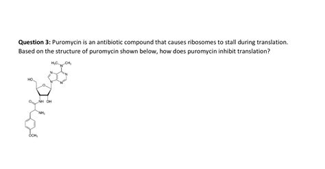 [solved] Question 3 Puromycin Is An Antibiotic Compound That Causes Course Hero