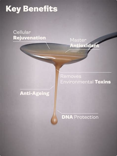 Liposomal Supplements Youth And Earth Uk Store