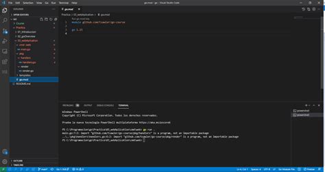 is a program not an importable package · issue 47313 · golang go · github