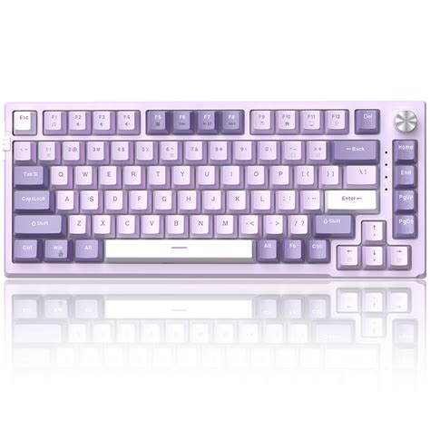 Magegee Sky81 Violet A Rgb Violet Switch Us Keyboards — Gaming
