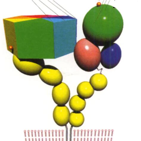 Schematic Representation Of The Domain Structure Of A Download