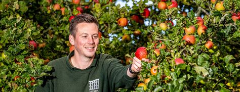 International Apple Throwing Championships Mark End Of Season At Newby Hall Cicada Communications