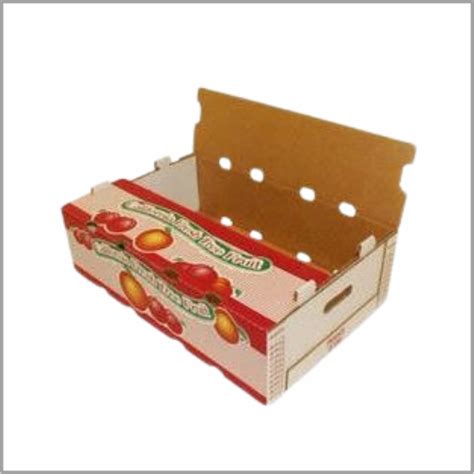 Offset Printing Box Manufacturer In India Gujarat Ananta Packaging