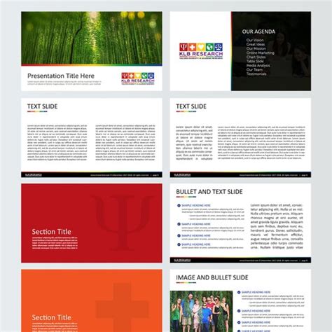 Design A Sleek And Modern PowerPoint Template For A Leading LGBTQ Researcher PowerPoint