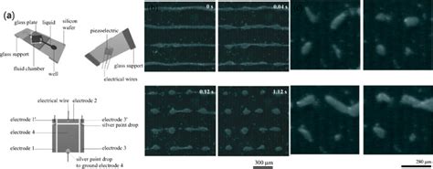 A Baw Generated By A Single Pzt B 2d Array Formation Process C