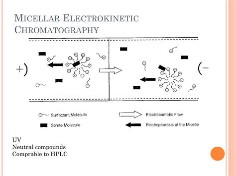Ppt Capillary Electrophoresis Technique And Application Powerpoint
