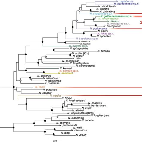Phylogenetic Tree Reconstructed Using Bayesian Inference Black And Download Scientific Diagram