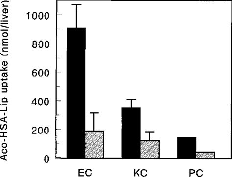 Cyclophosphamide Doxorubicin Vincristine Protocol Semantic Scholar